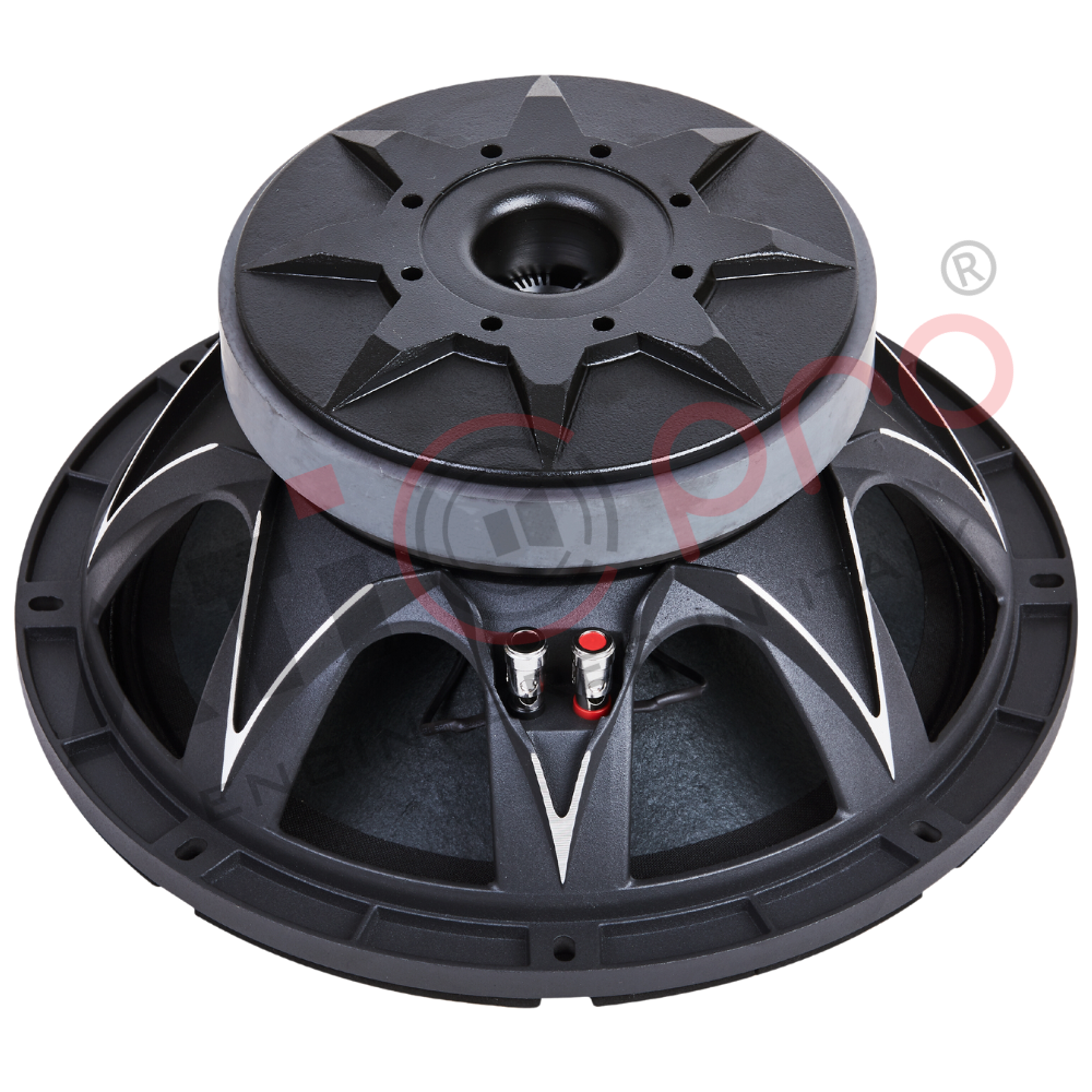 Ferrite DJ Speaker 12 Inch 450 Watt Model YX12X301 II - Ferrite Dj Speakers